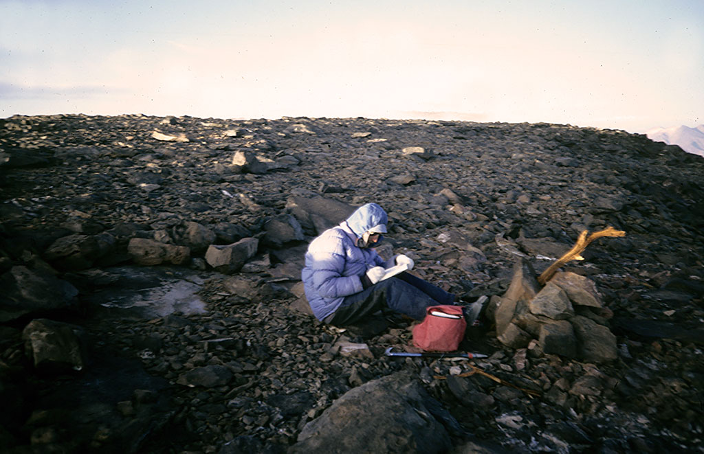 NOTA - Montañas Argentinas: Volcán Aracar, una bella montaña de la puna ...