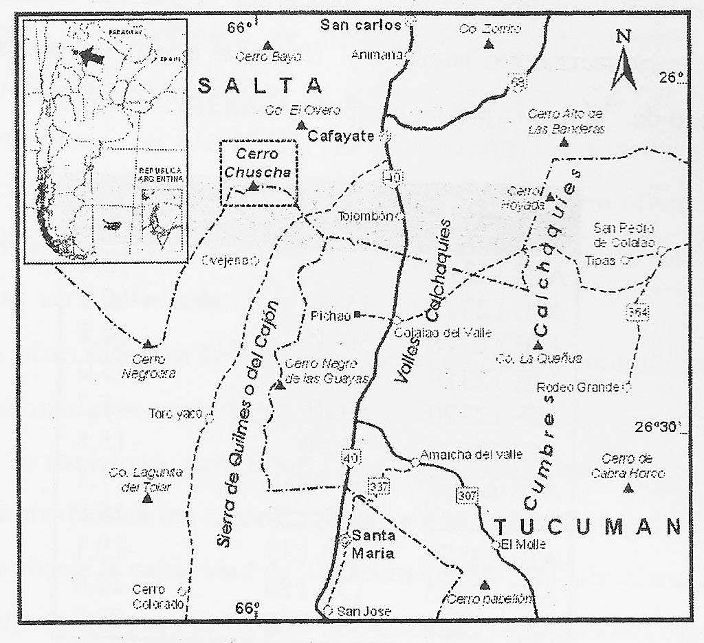 LIBRO - El Santuario Incaico del Nevado de Chuscha