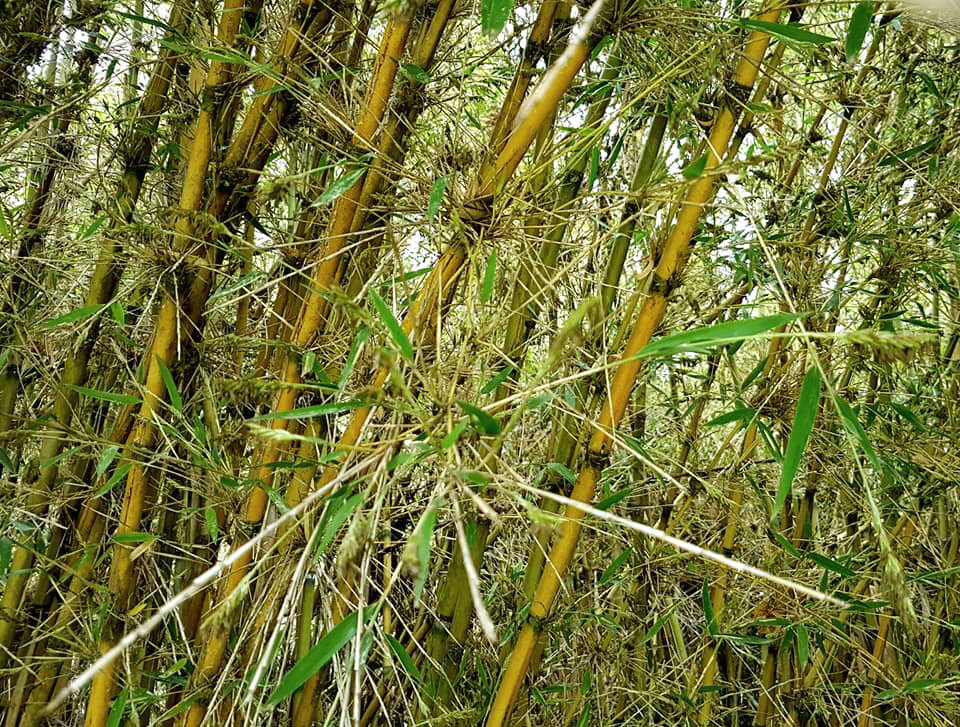 Noticias de Montaña