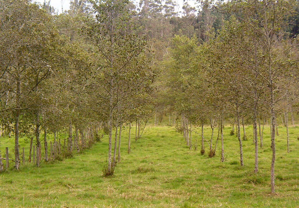 Noticias de Montaña