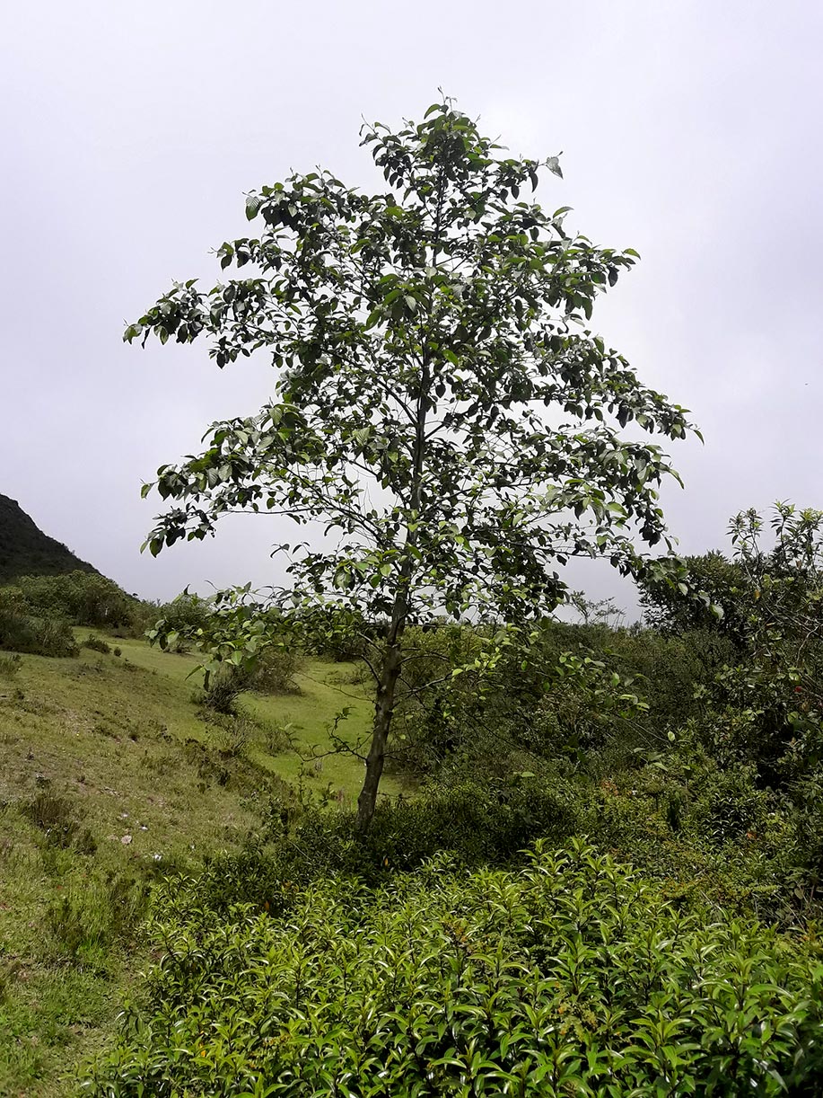 Noticias de Montaña