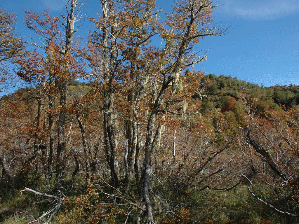 Noticias de Montaña