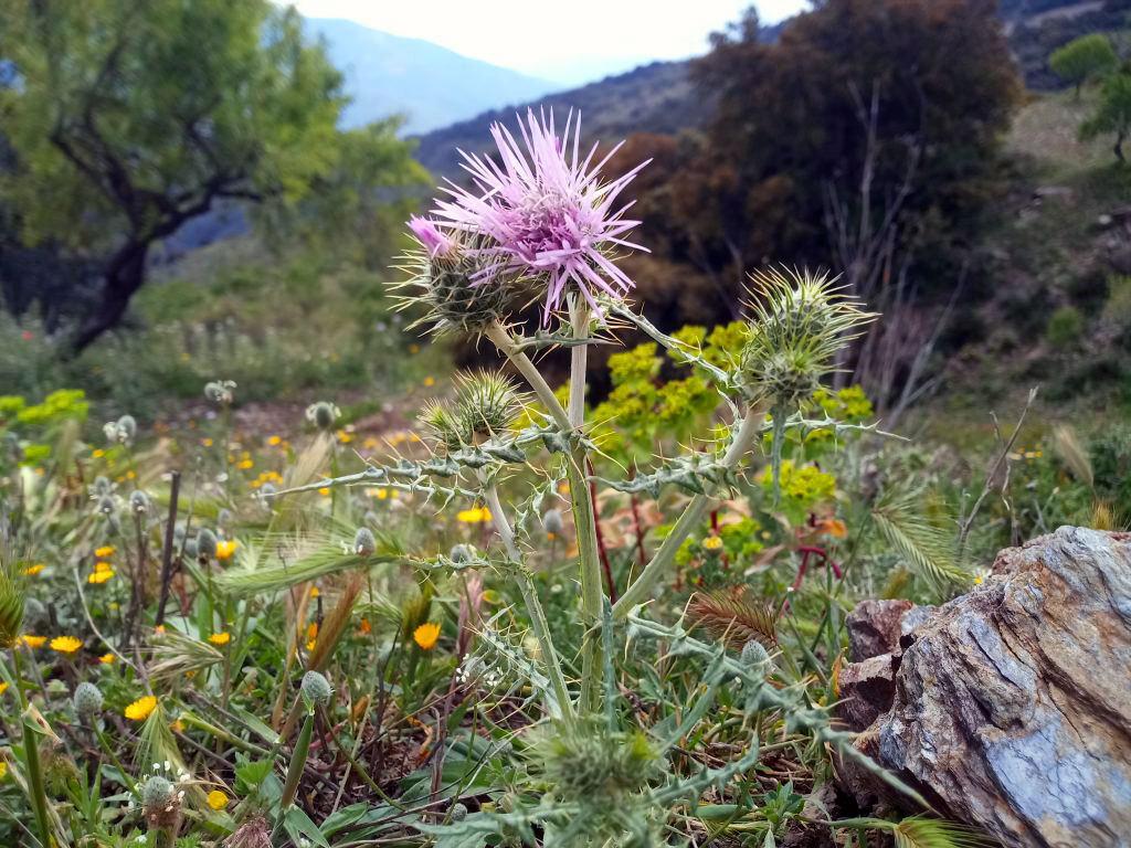 Noticias de Montaña