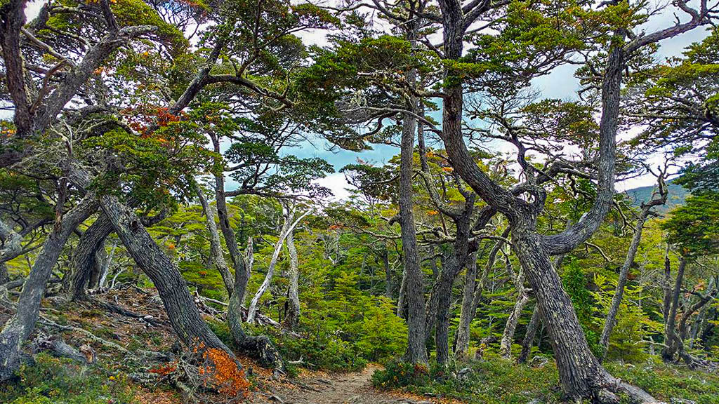 Noticias de Montaña