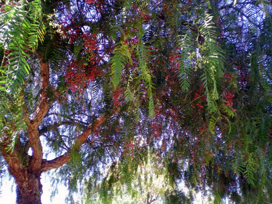 Noticias de Montaña