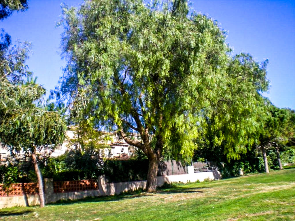 Noticias de Montaña