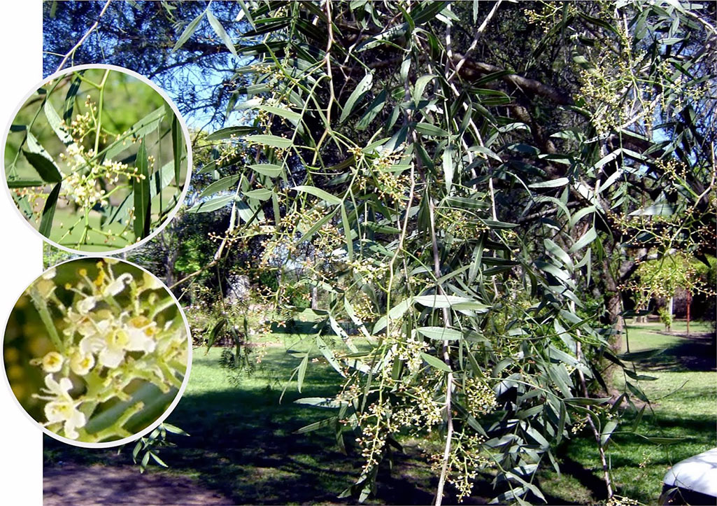 Noticias de Montaña