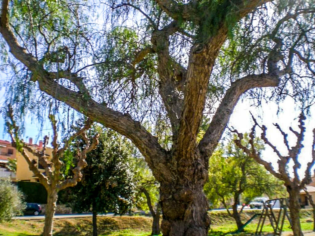 Noticias de Montaña