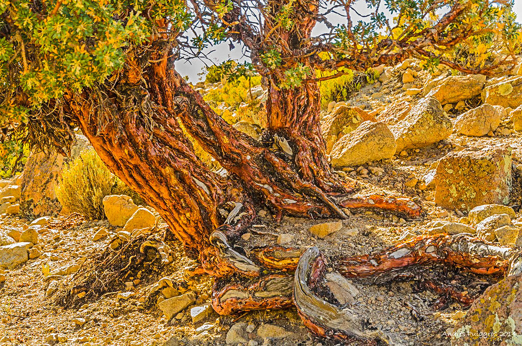 Noticias de Montaña