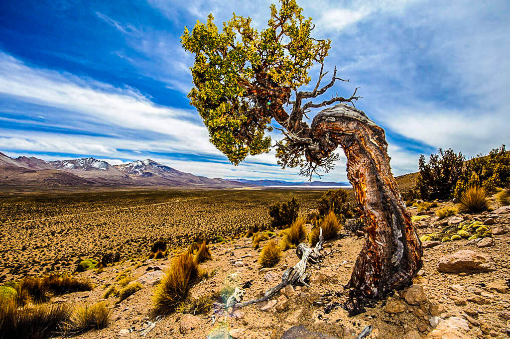 Noticias de Montaña