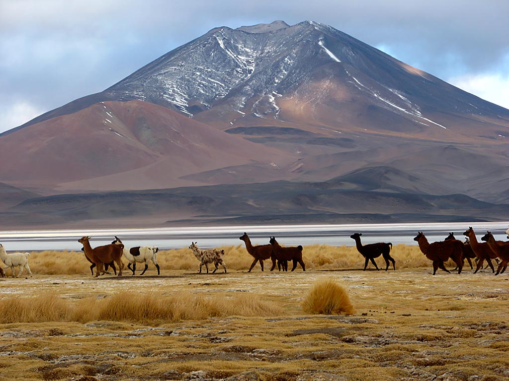 Noticias de Montaña