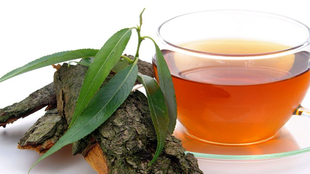 Noticias de Montaña