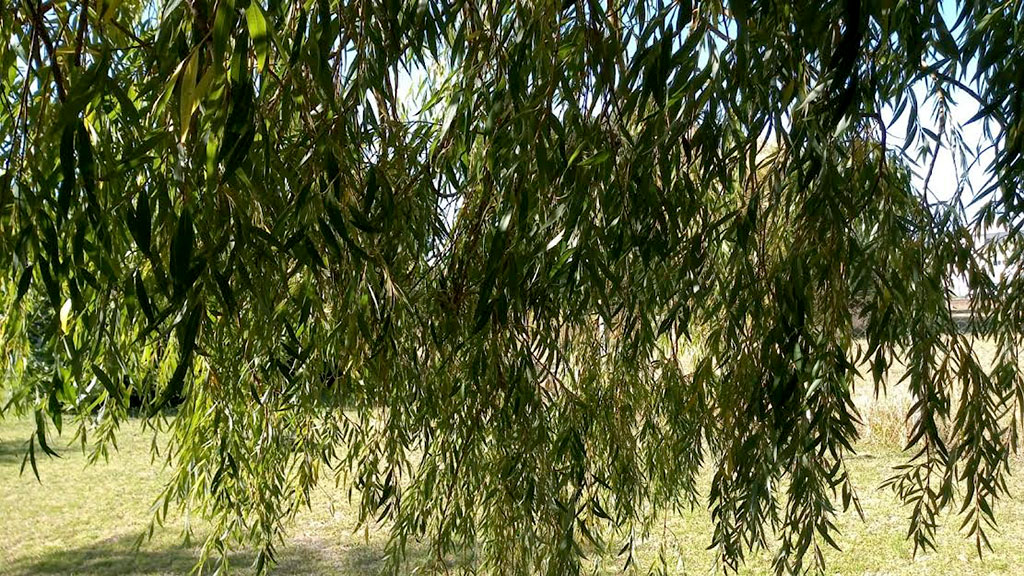 Noticias de Montaña