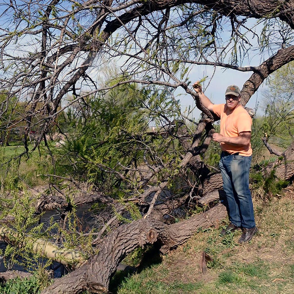 Noticias de Montaña