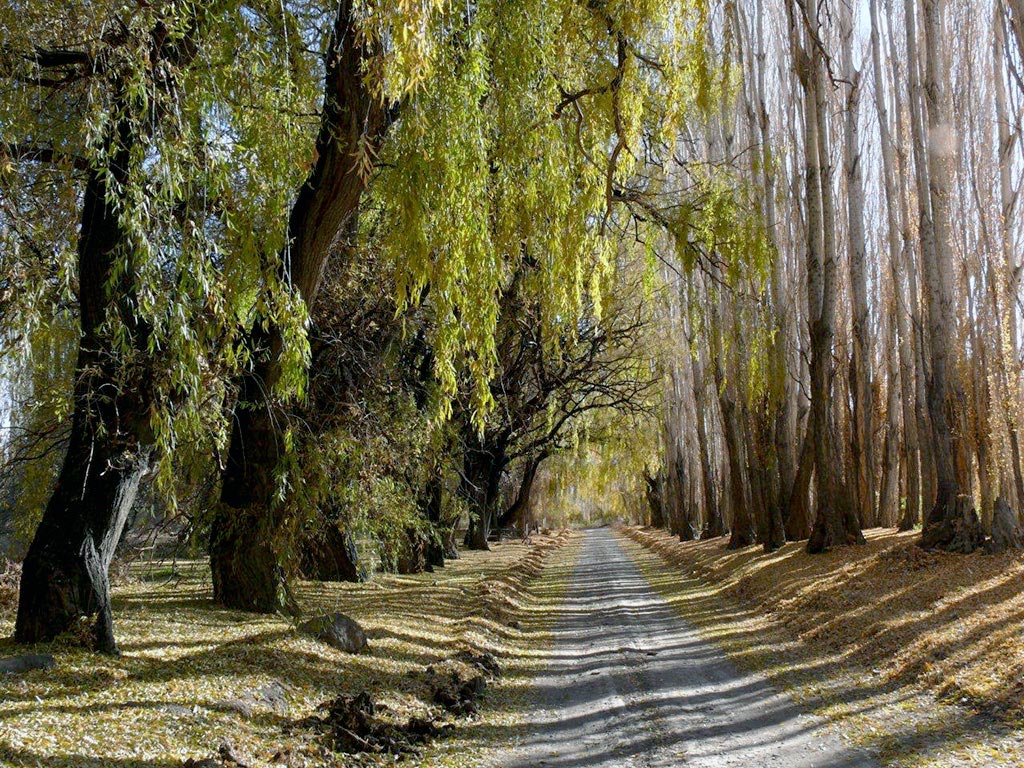 Noticias de Montaña