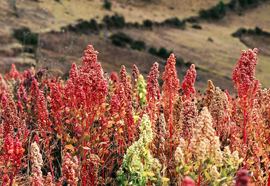 Noticias de Montaña